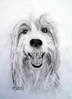 Drawing Classes Gold Coast Hinterland | Pencil, Graphite, Charcoal ...